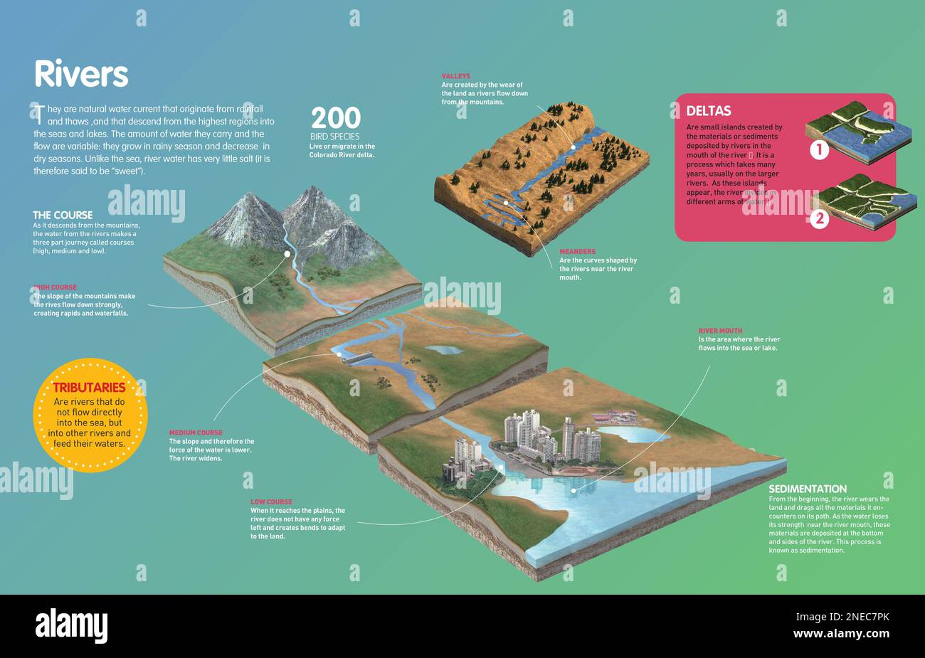 Infographic about the phases of the course of a river, its flow and the ...
