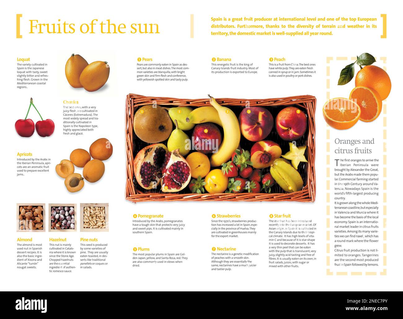 Infographics about the varieties of fruits cultivated forming part of ...