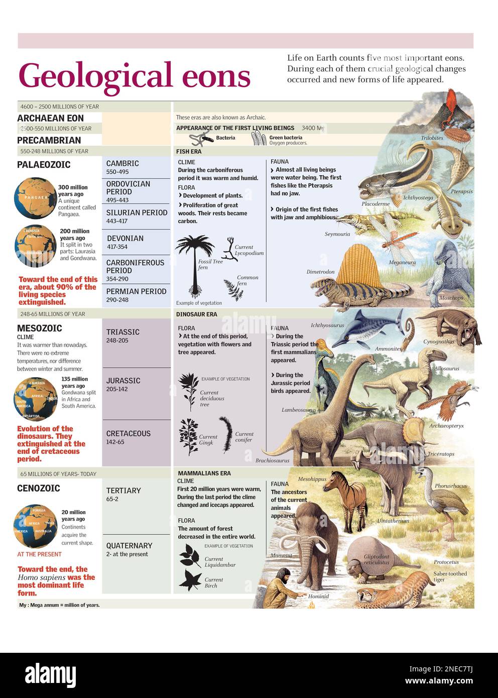 Description of the geological ages of the Earth with the climate, flora ...
