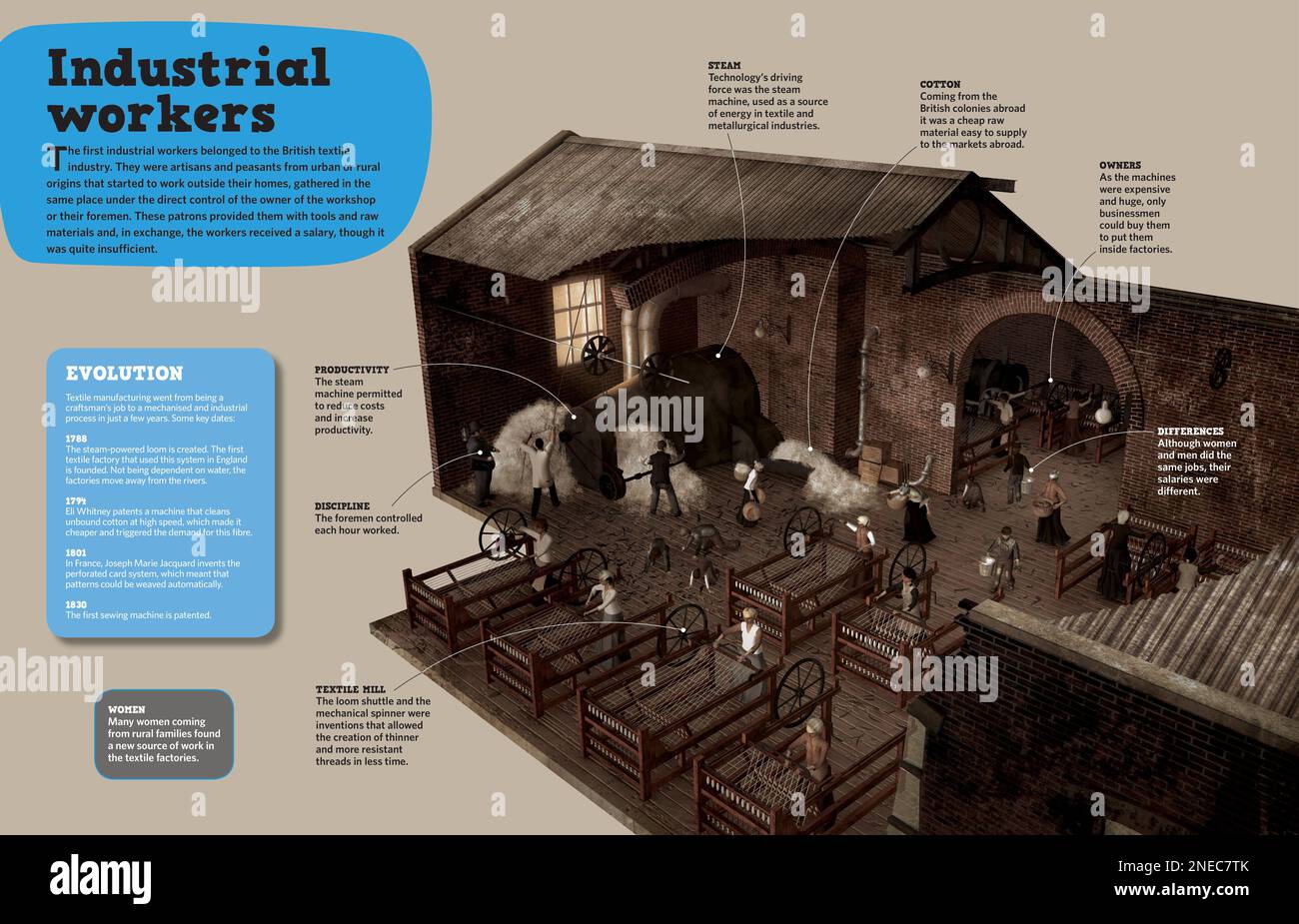 Infographic on the organization of textile factory workers. [Adobe ...
