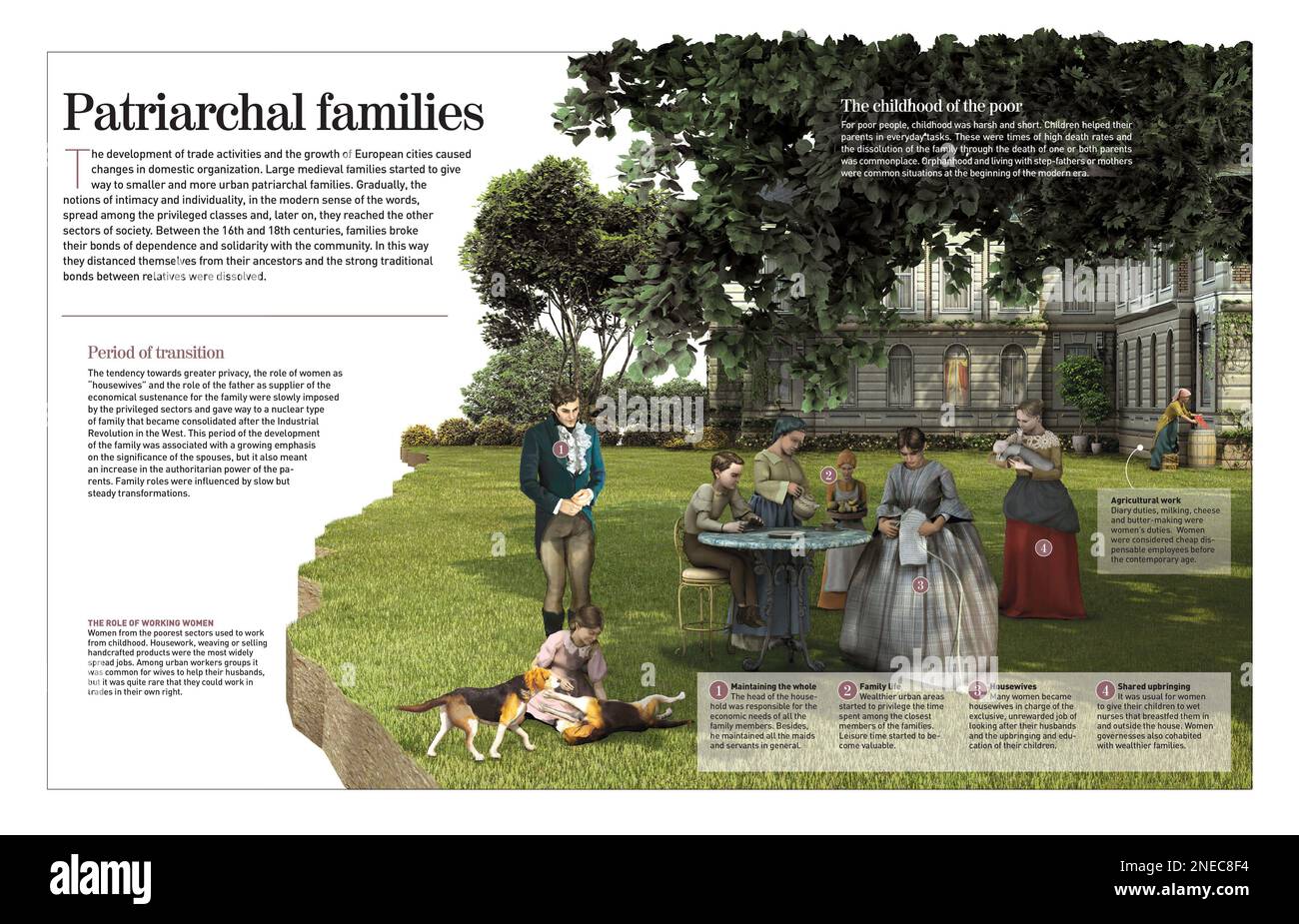 Infographic about the kinds of families existing in Europe by 1600 ...