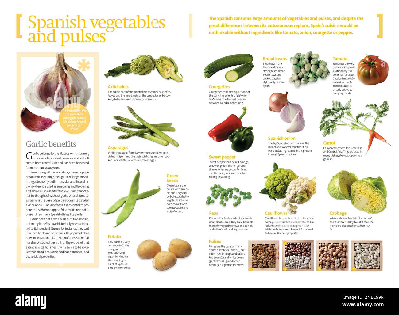 Infographics About Food In Spanish