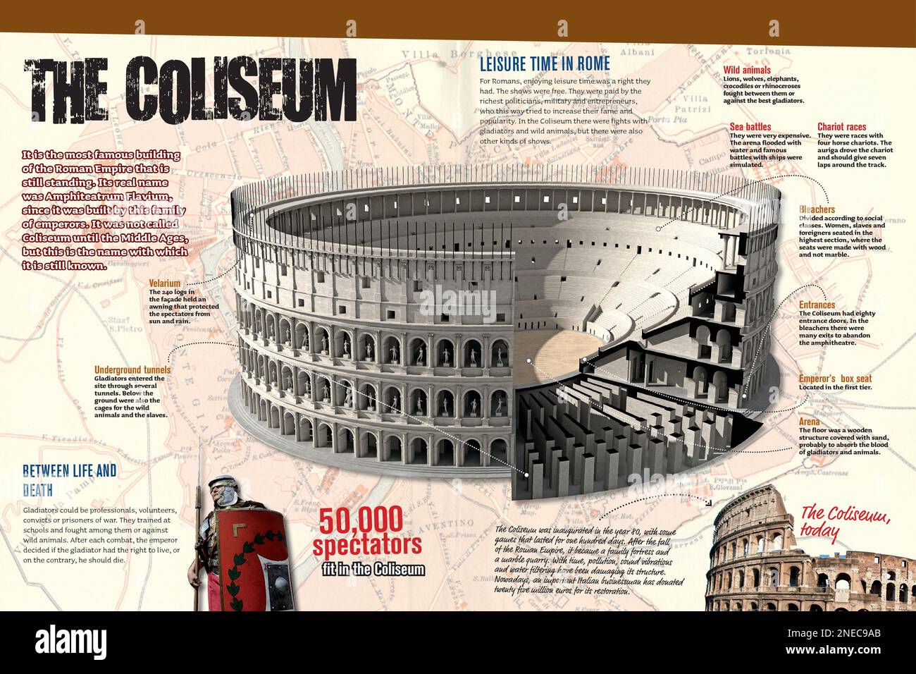 Infographic of the Roman Coliseum. [Adobe InDesign (.indd); 4960x3307 ...