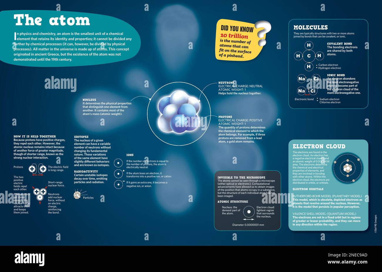 Infographic on the atom and its components. [Adobe InDesign (.indd ...