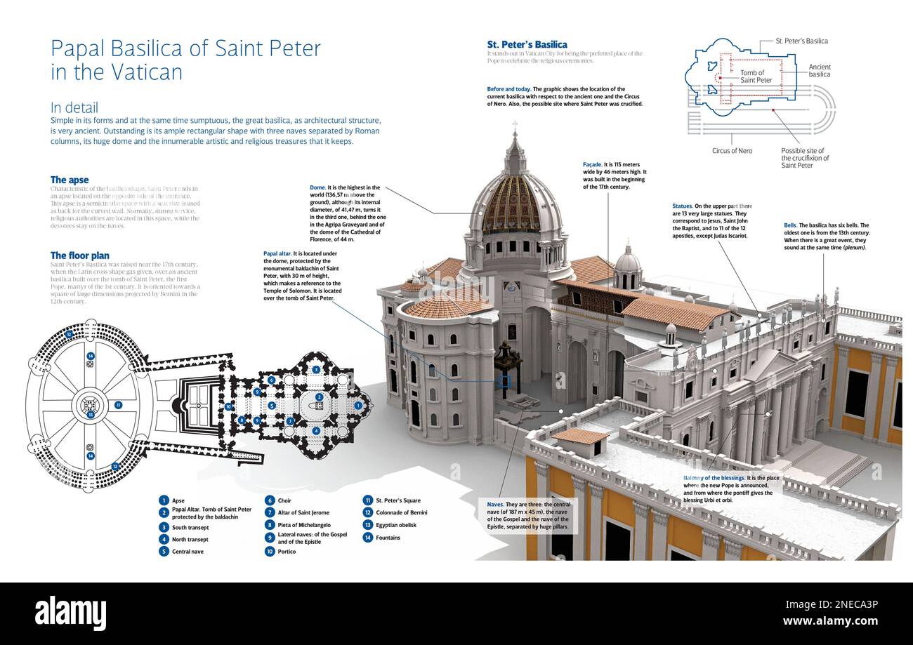 Infographic of the Papal Basilica of Saint Peter in the Vatican ...