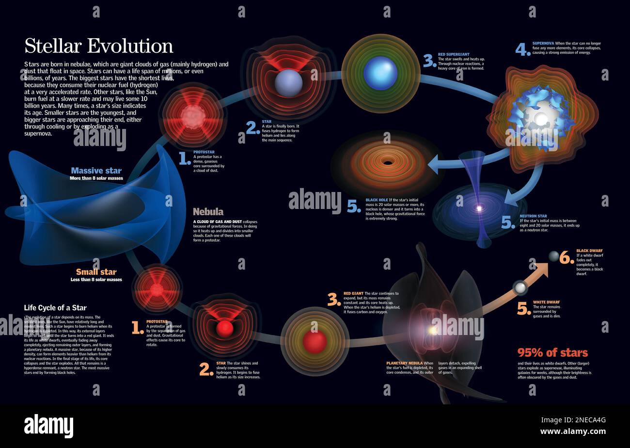 Stellar Evolution Stages Stellar Evolution Stages