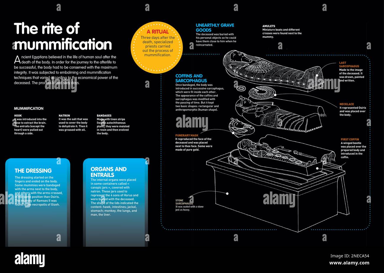 Infographic about the process of mummification that was carried out ...