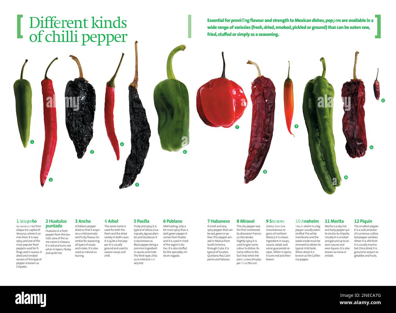 Chile Pepper Varieties And Names
