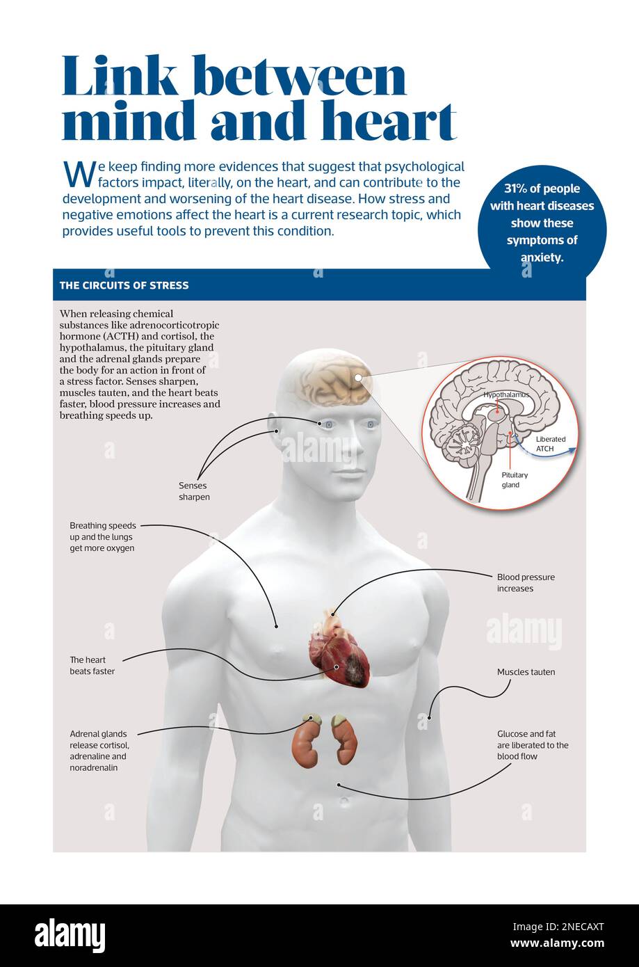 Infographic that shows how psychological factors can contribute to the ...