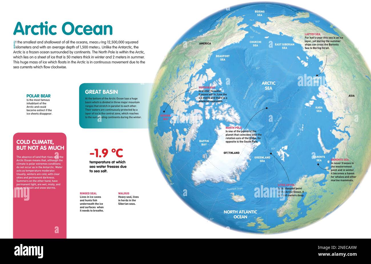 Infographic about the geography, relief and climate of the Arctic ocean ...
