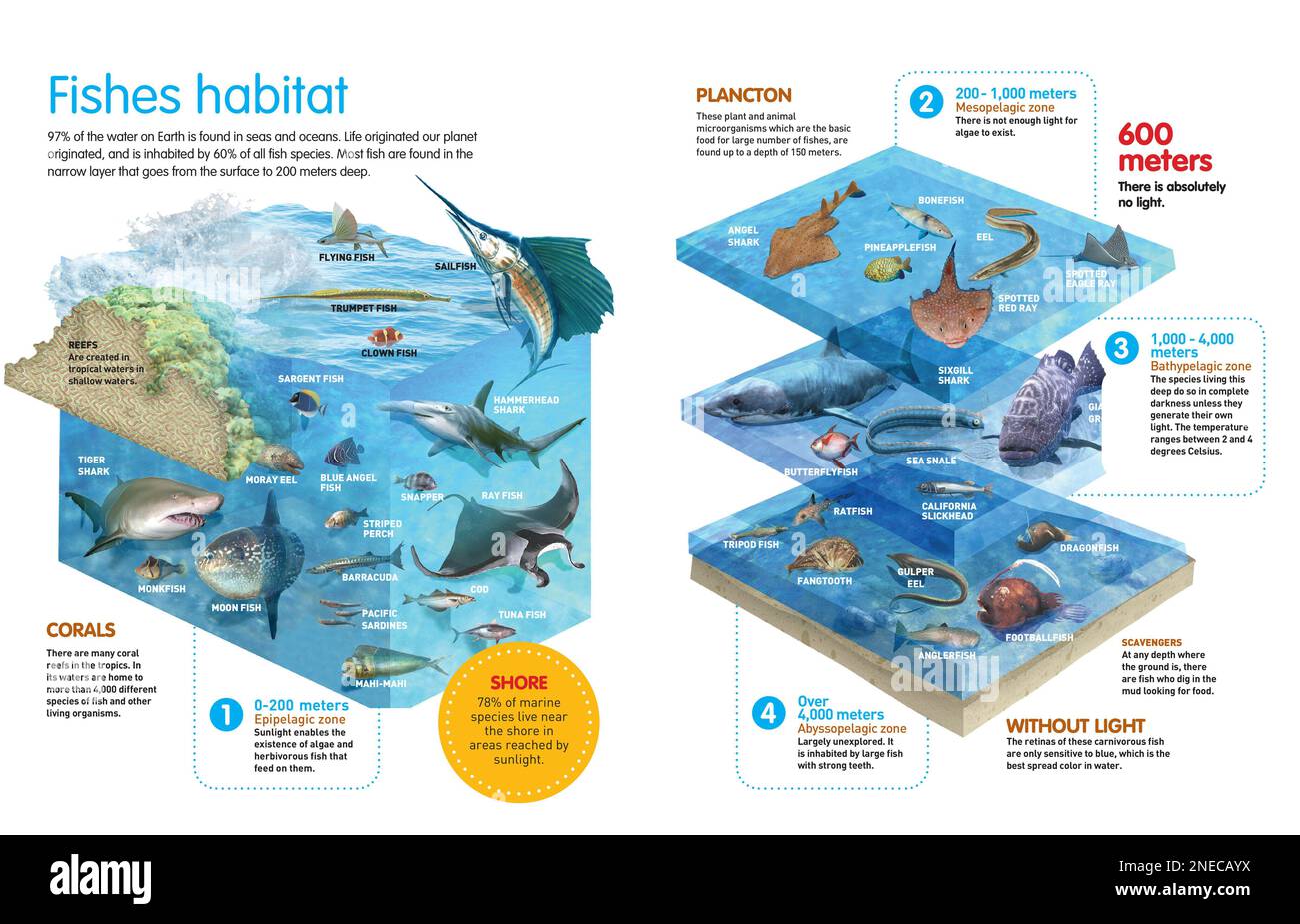 Infographic that describes the habitat of marine fish and the ...
