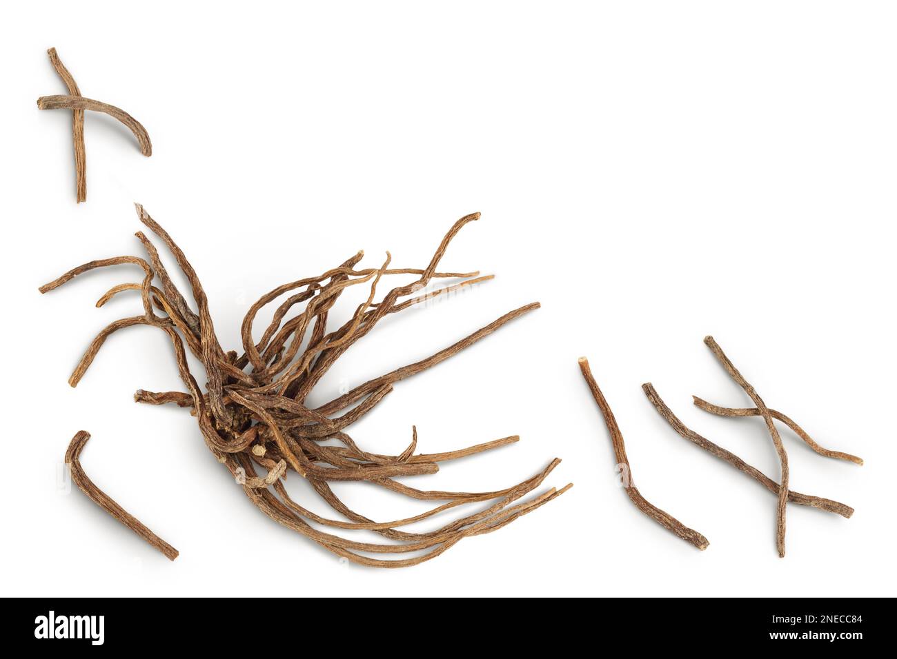 Dried Valerian root isolated on white background. Valeriana officinalis ...