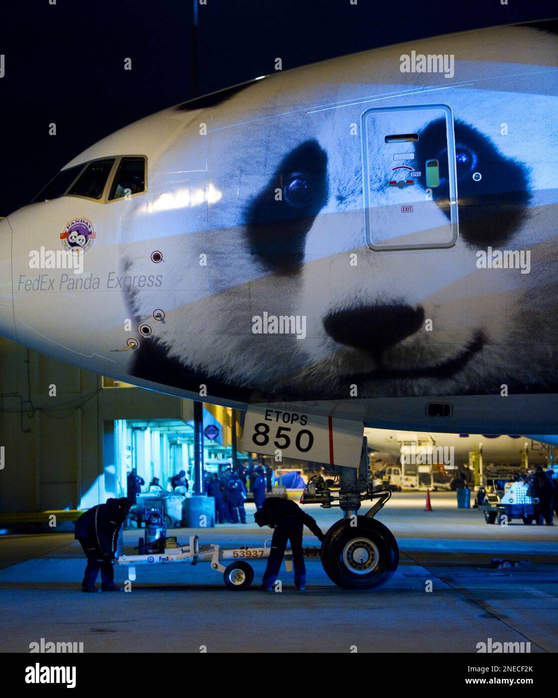 Workers secure the Federal Express cargo plane, called the "FedEx Panda ...