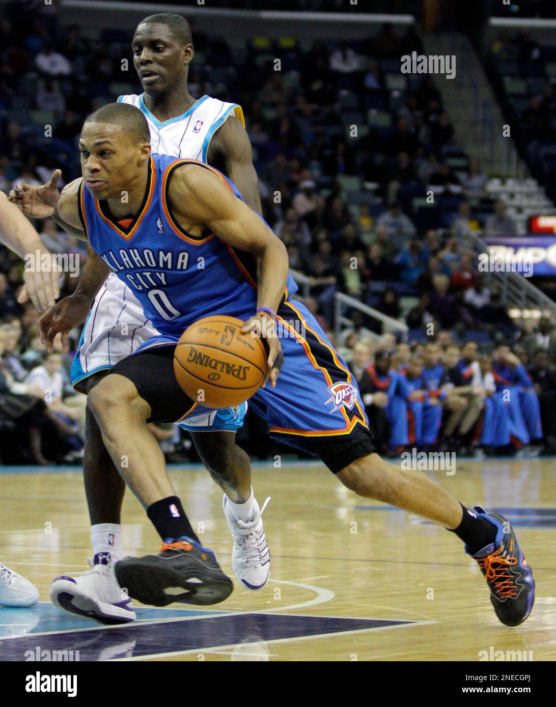 Darren Collison Hornets