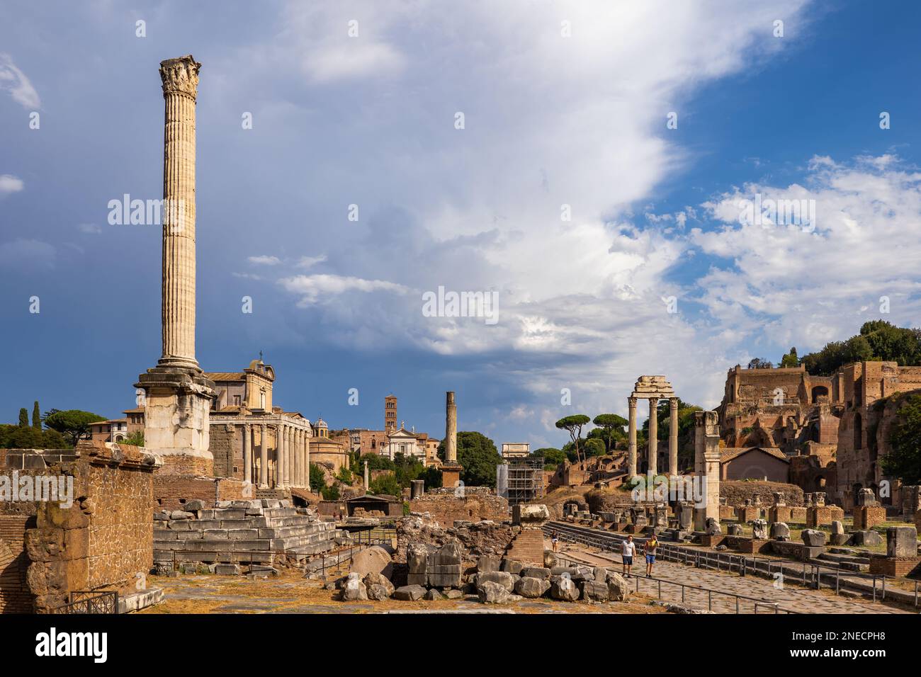 The Roman Forum ancient ruins, skyline with the Column of Phocas in ...