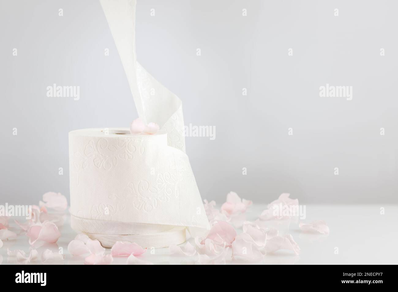 Roll of natural white toilet paper on a light background with rose ...