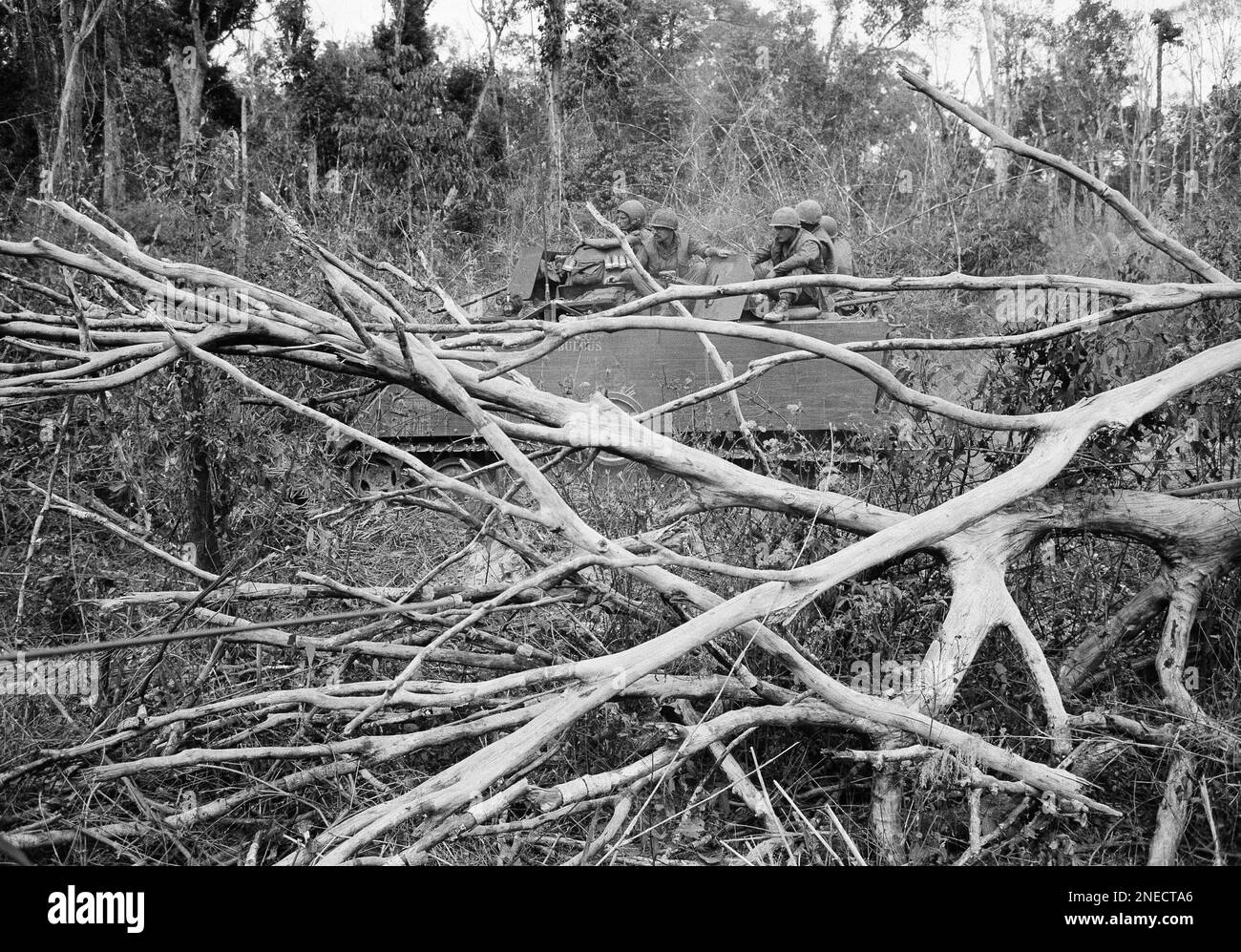 Bombed- out trees in foreground resemble huge fingers as troopers of ...