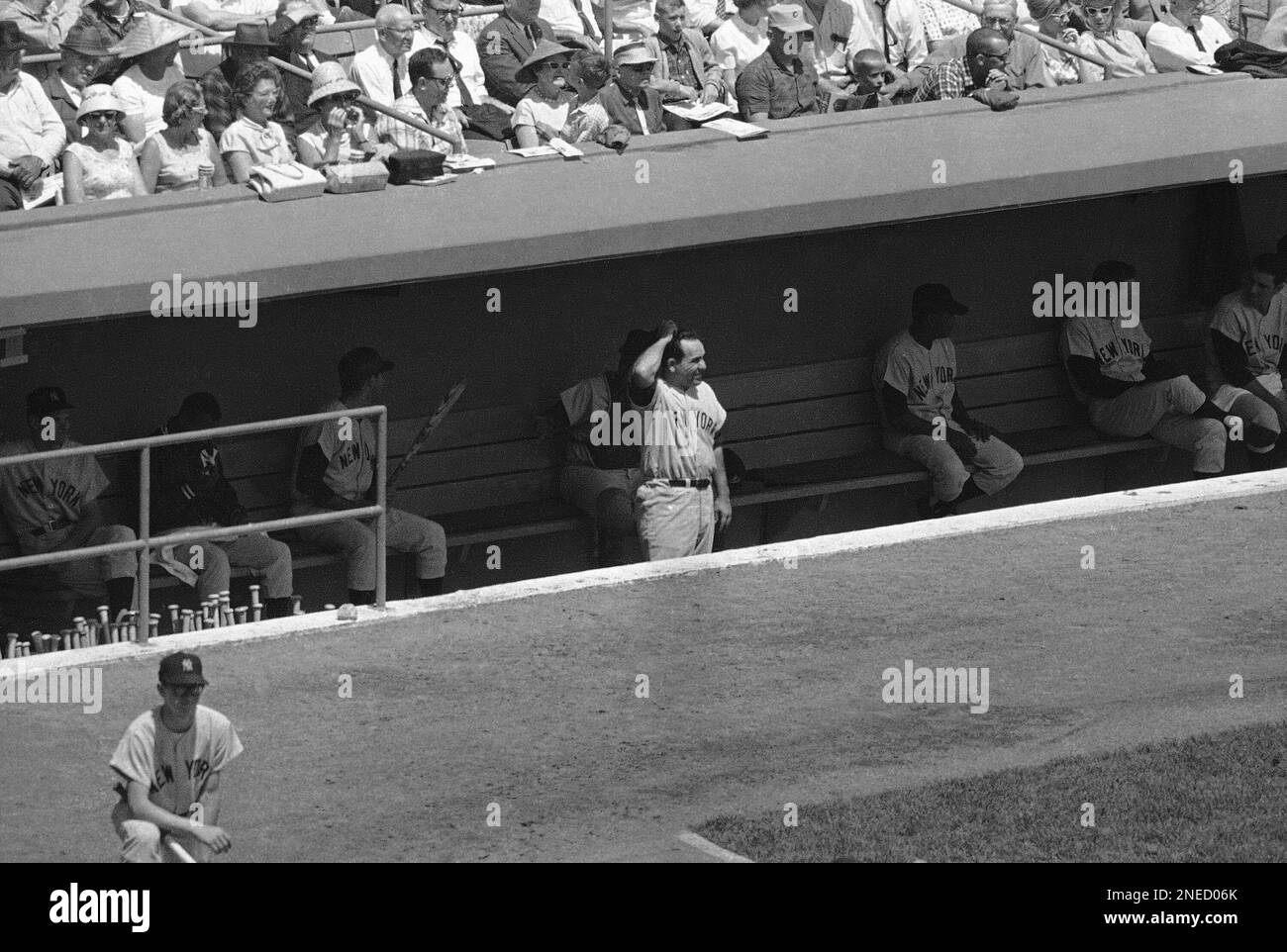 Yogi Berra, new manager of the New York Yankees, is shown in action in ...