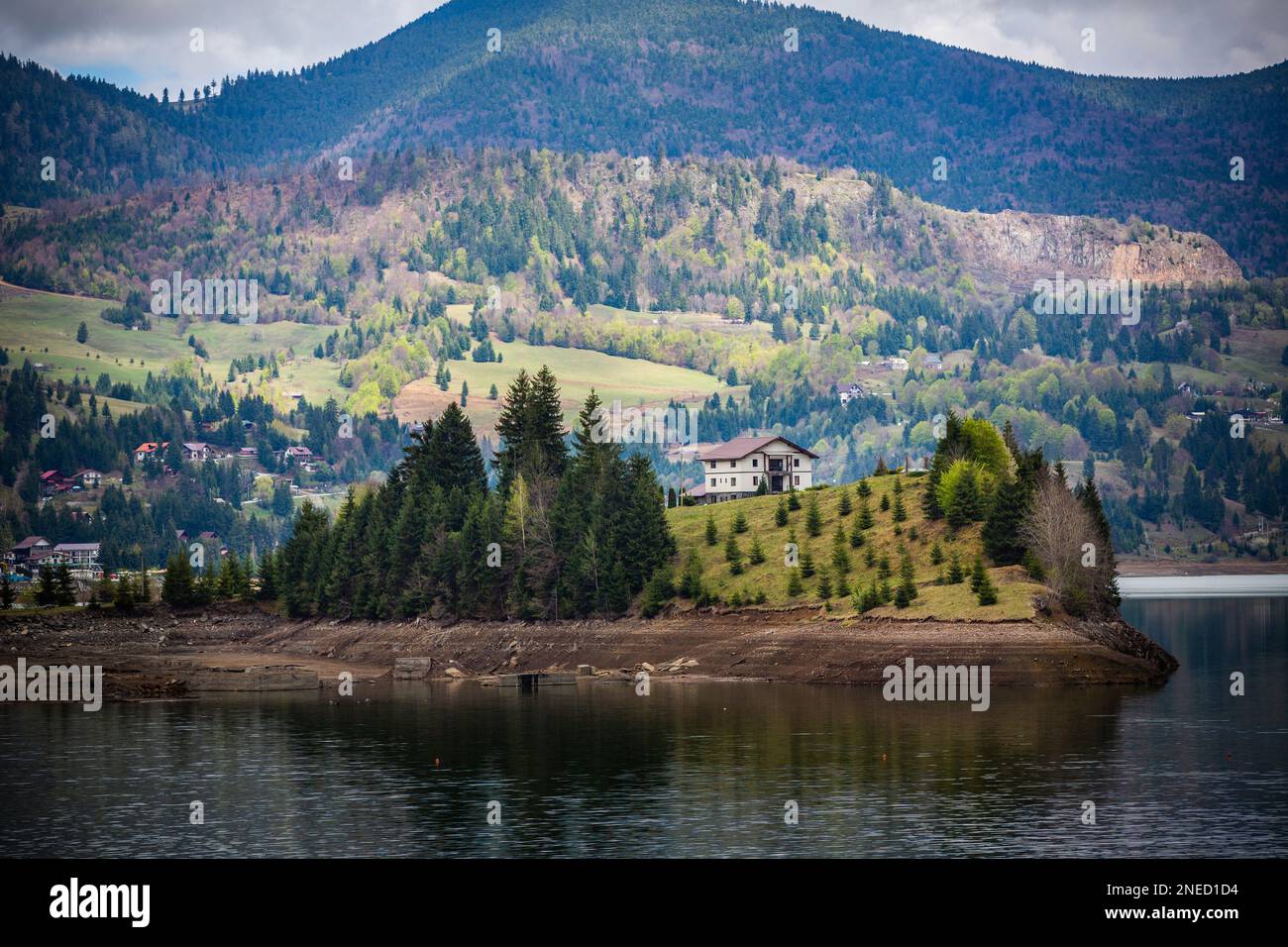 The view of a small green island in lake Colibita surrounded by ...