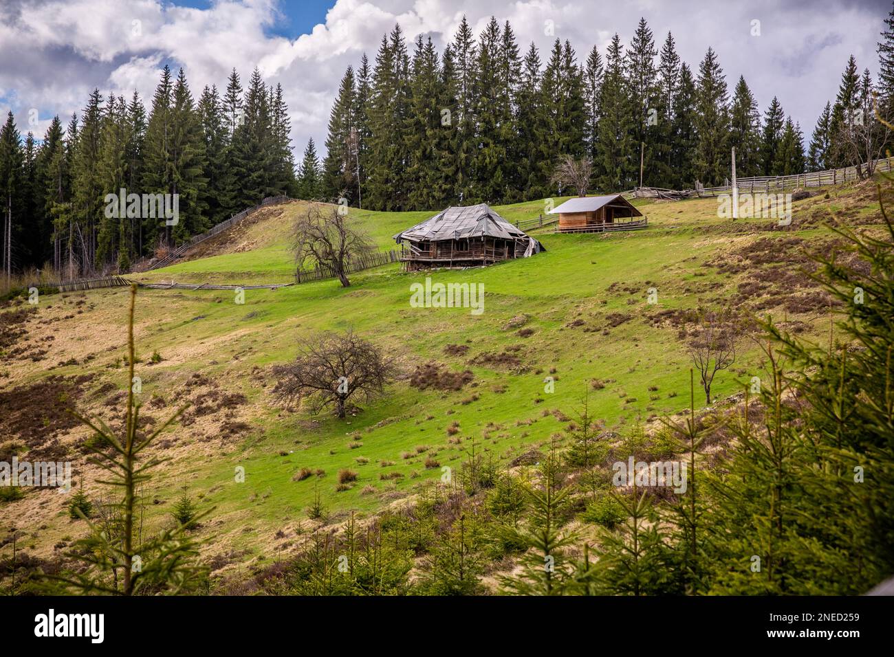 The old rural buildings on the green slope with lush trees Stock Photo ...