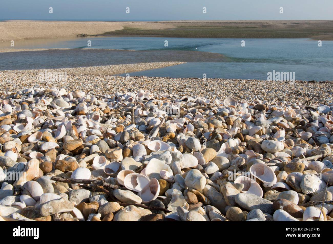pebble and shell beach on inlet near the mouth of Pagham Harbour ...