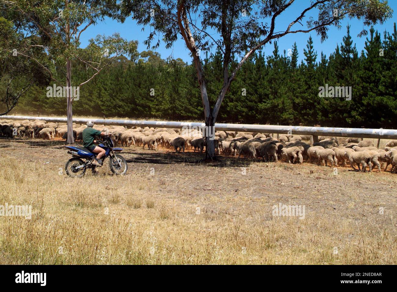 Farmer on motorcycle hi-res stock photography and images - Alamy