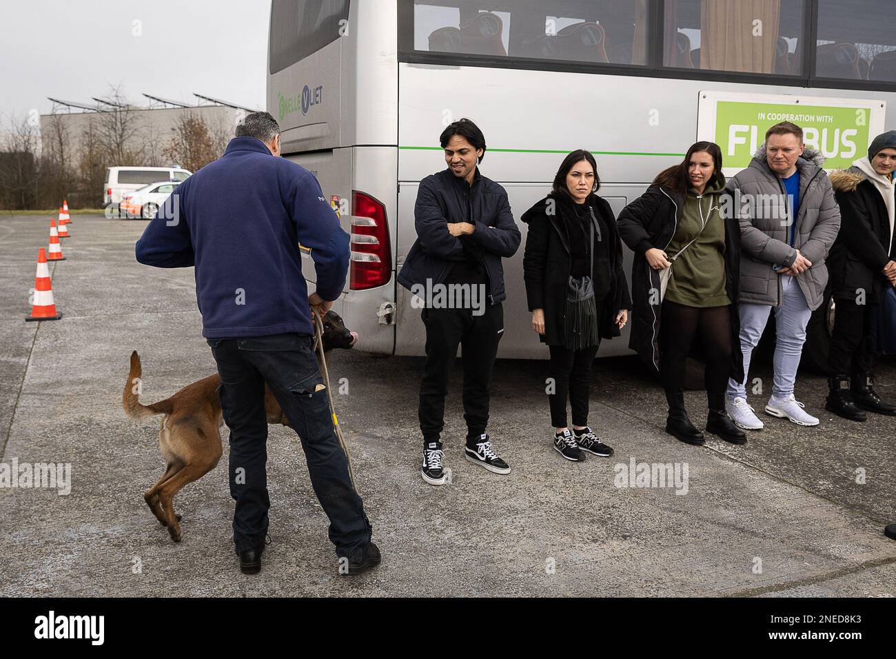 Illustration picture shows a police dog performing an inspection on bus ...
