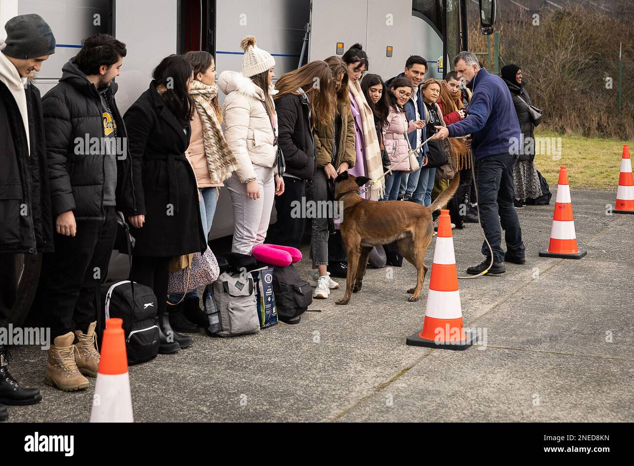 Illustration picture shows a police dog inspection pictured during a ...