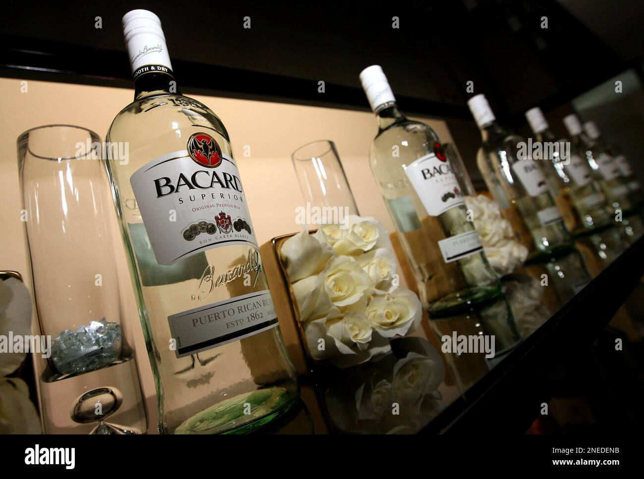 General Atmosphere in the Bacardi VIP lounge at will.i.am???s Dipdive ...