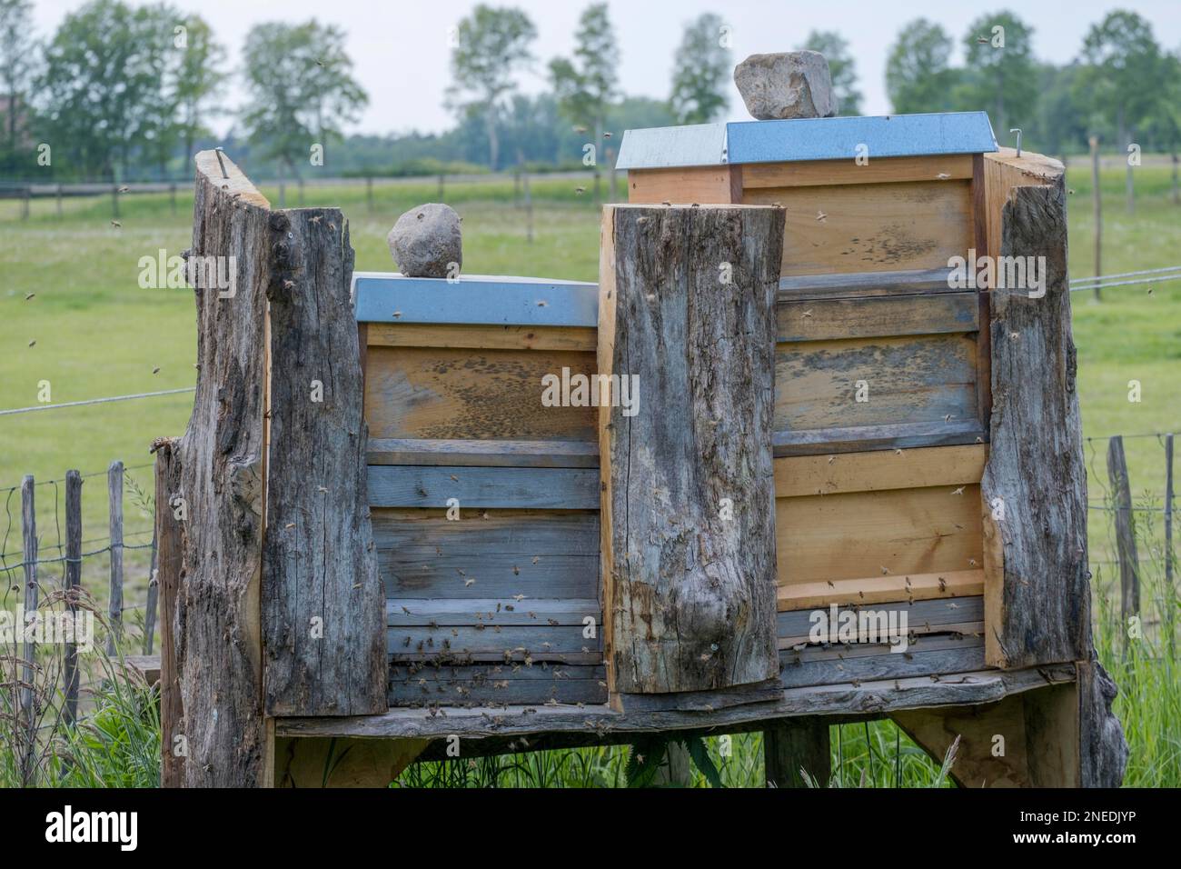 Beehive house hi-res stock photography and images - Alamy