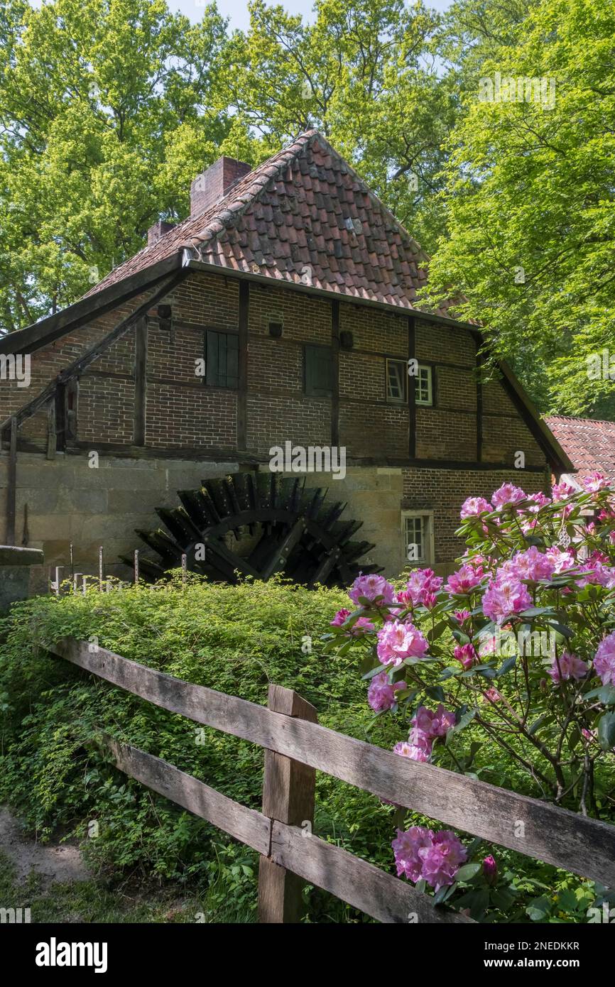 Watermill and garden hi-res stock photography and images - Alamy