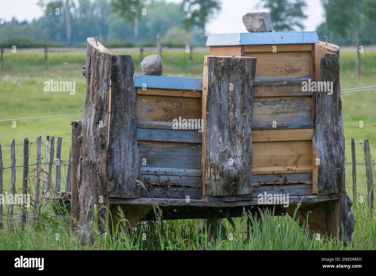 Beehive house hi-res stock photography and images - Alamy