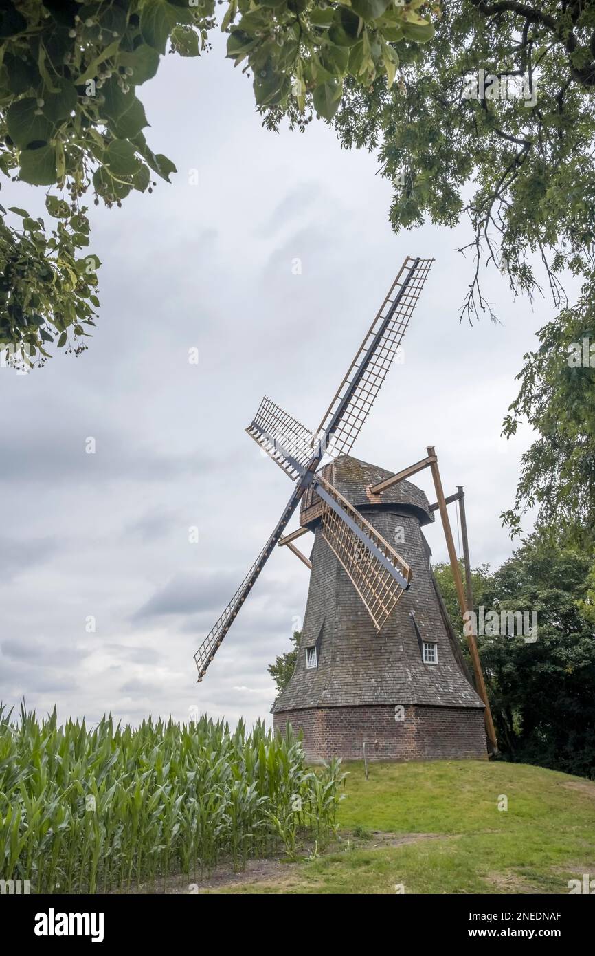 Quantwicker Mill, Ahaus-Wuellen Stock Photo - Alamy