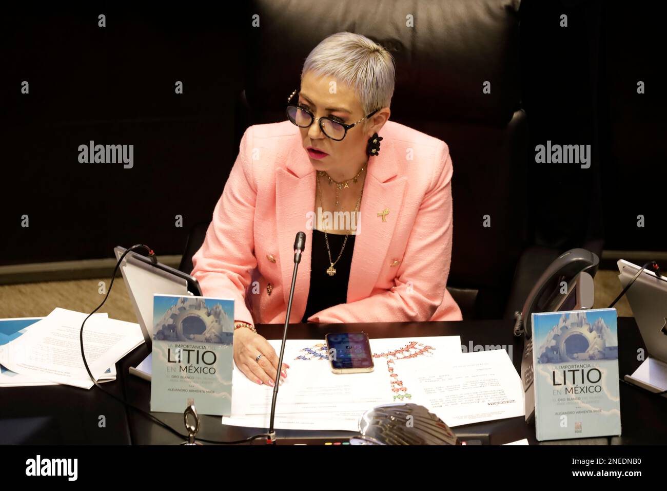 Non Exclusive: February 15, 2023, Mexico City, Mexico: Senator ...