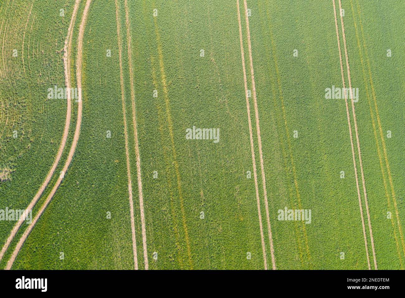 Tractor tracks in the field Stock Photo - Alamy