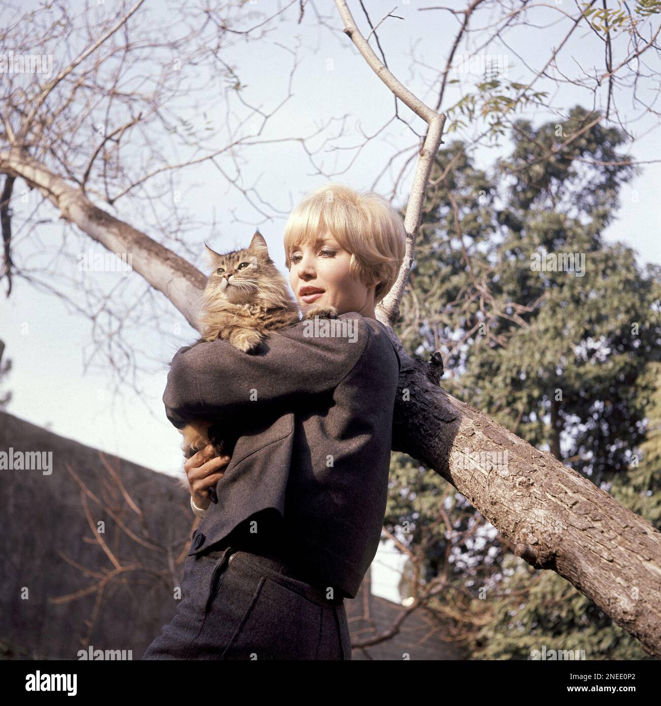 Actress Susan Oliver poses outside her home with her cat Dillie in ...
