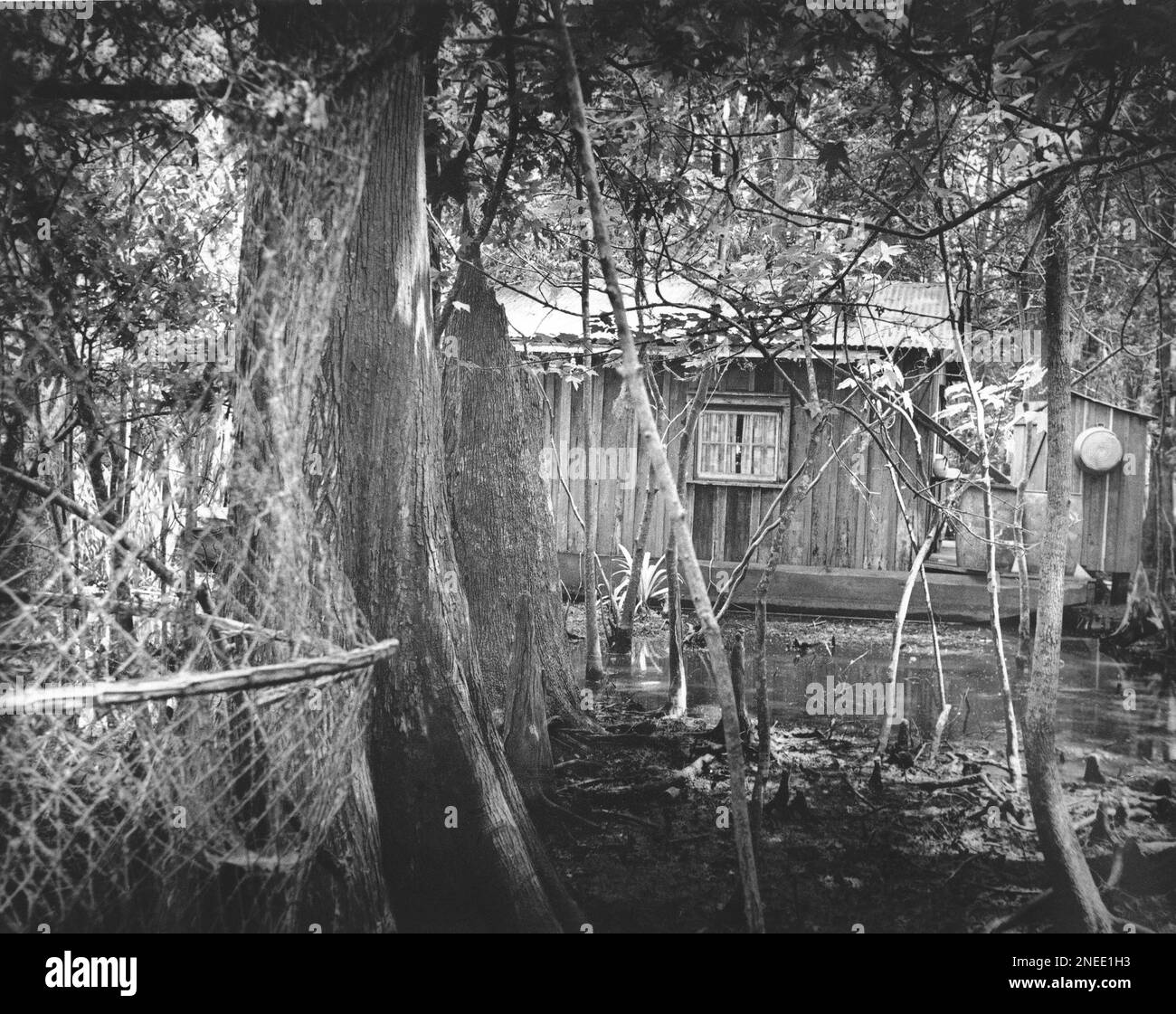 The Original Swamp Gardens of Morgan City, Louisiana in October 1981 ...