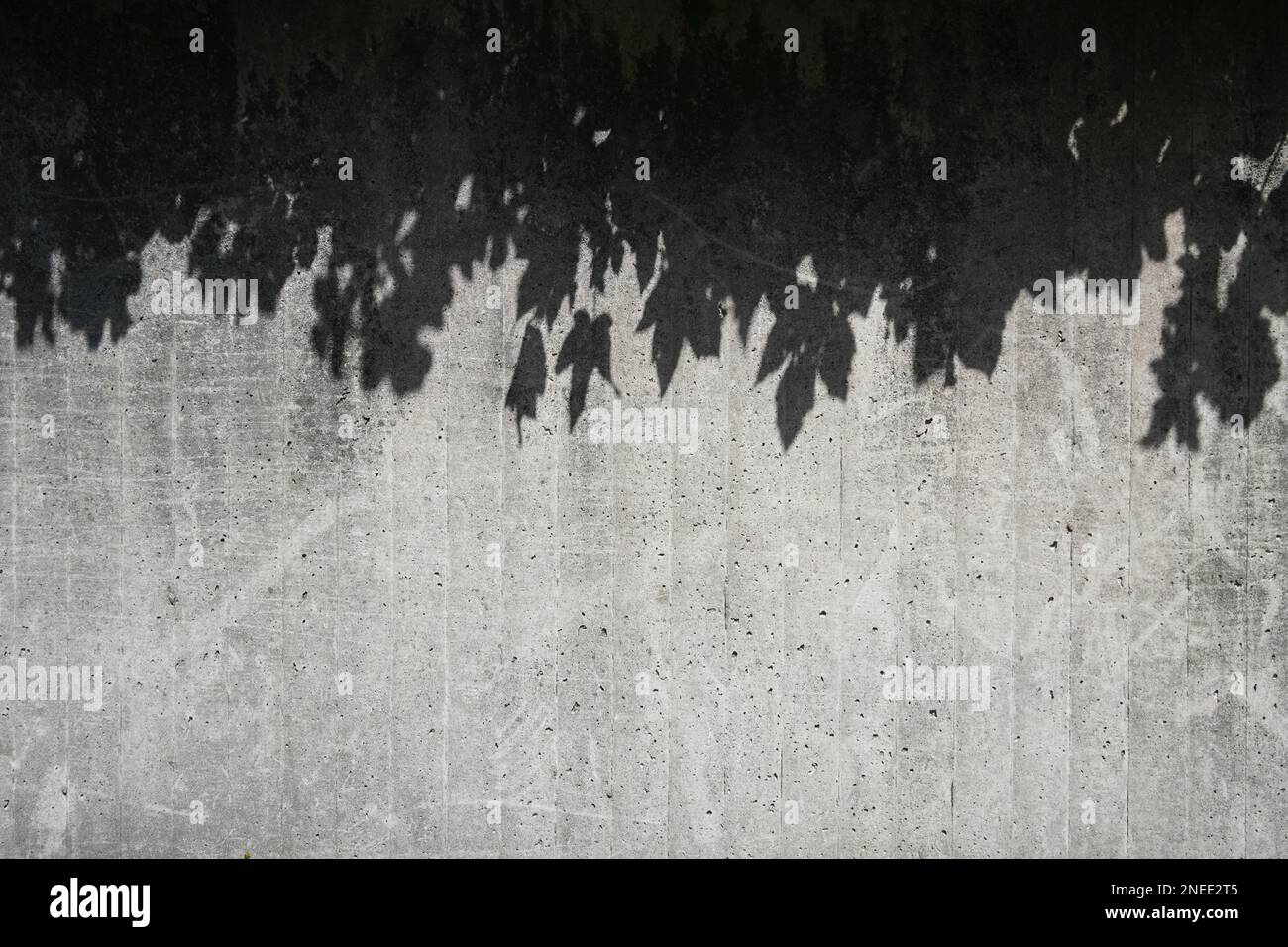 Shadowy background hi-res stock photography and images - Alamy