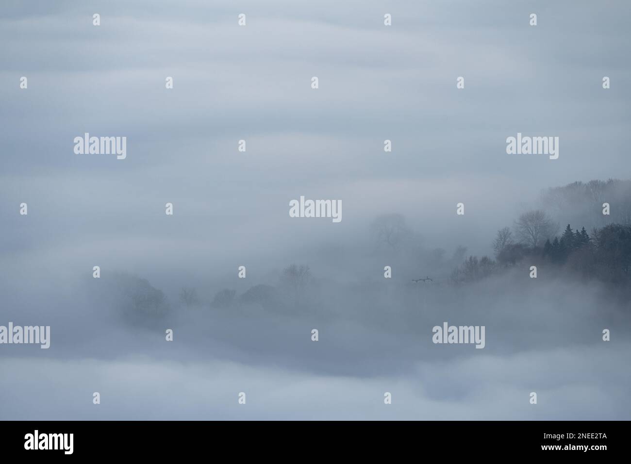 Trees, and mist. Bamford Edge landscape vignette during a winter ...