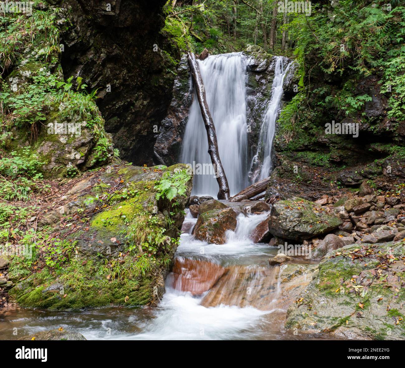 Spring in gunma japan hi-res stock photography and images - Alamy