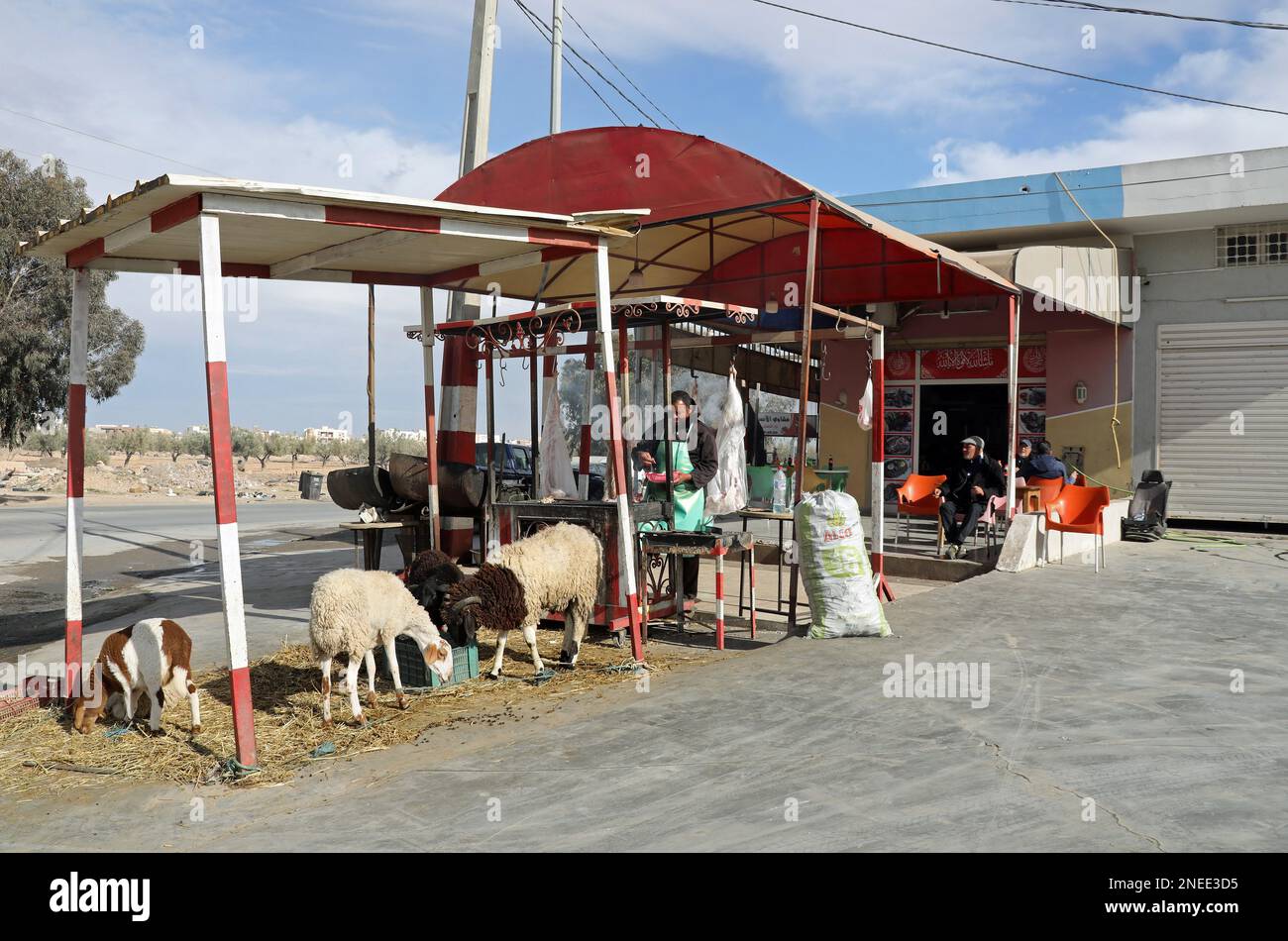 Roadside stall selling fresh and cooked sheep meat in Tunisia Stock ...