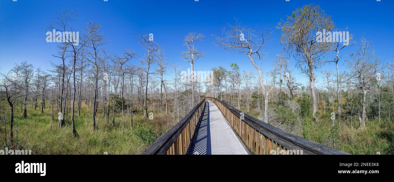 Everglades bridge hi-res stock photography and images - Alamy