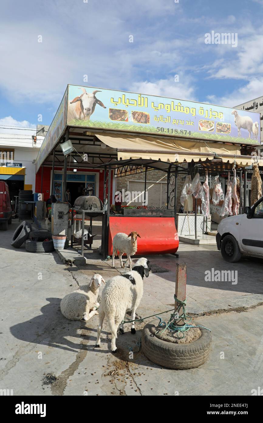 Roadside stall selling fresh and cooked sheep meat in Tunisia Stock ...