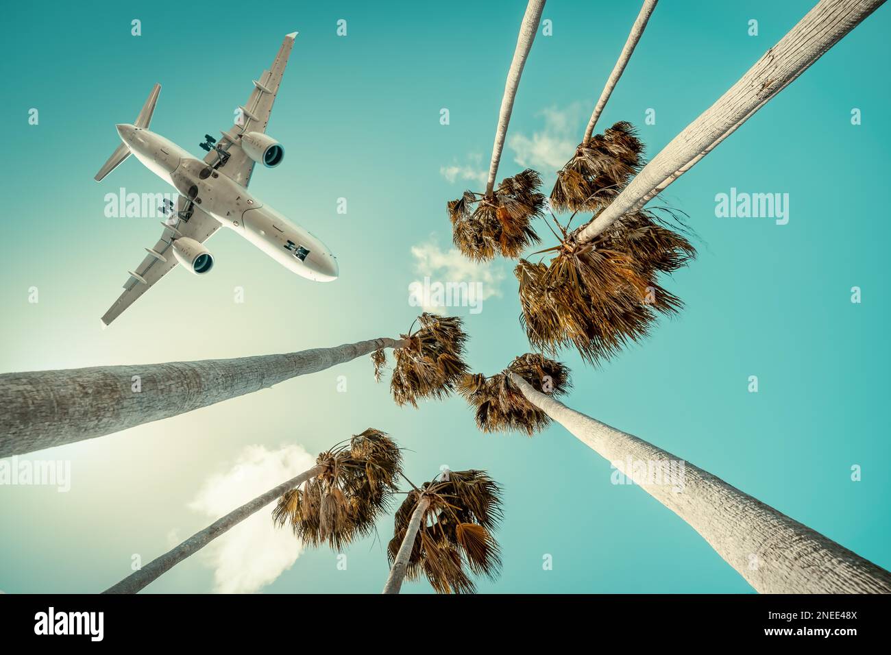 modern plane gaisnt palm trees Stock Photo - Alamy