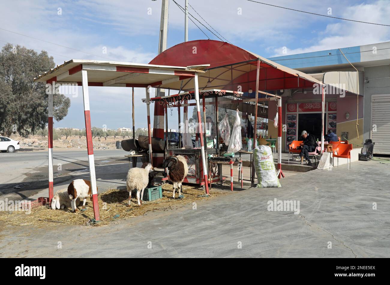 Roadside stall selling fresh and cooked sheep meat in Tunisia Stock ...
