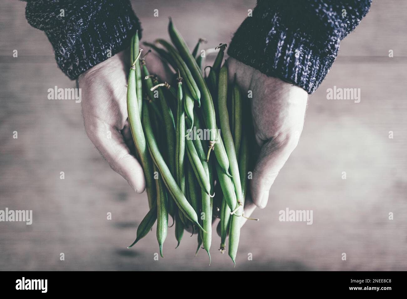 Common beans farm hi-res stock photography and images - Alamy