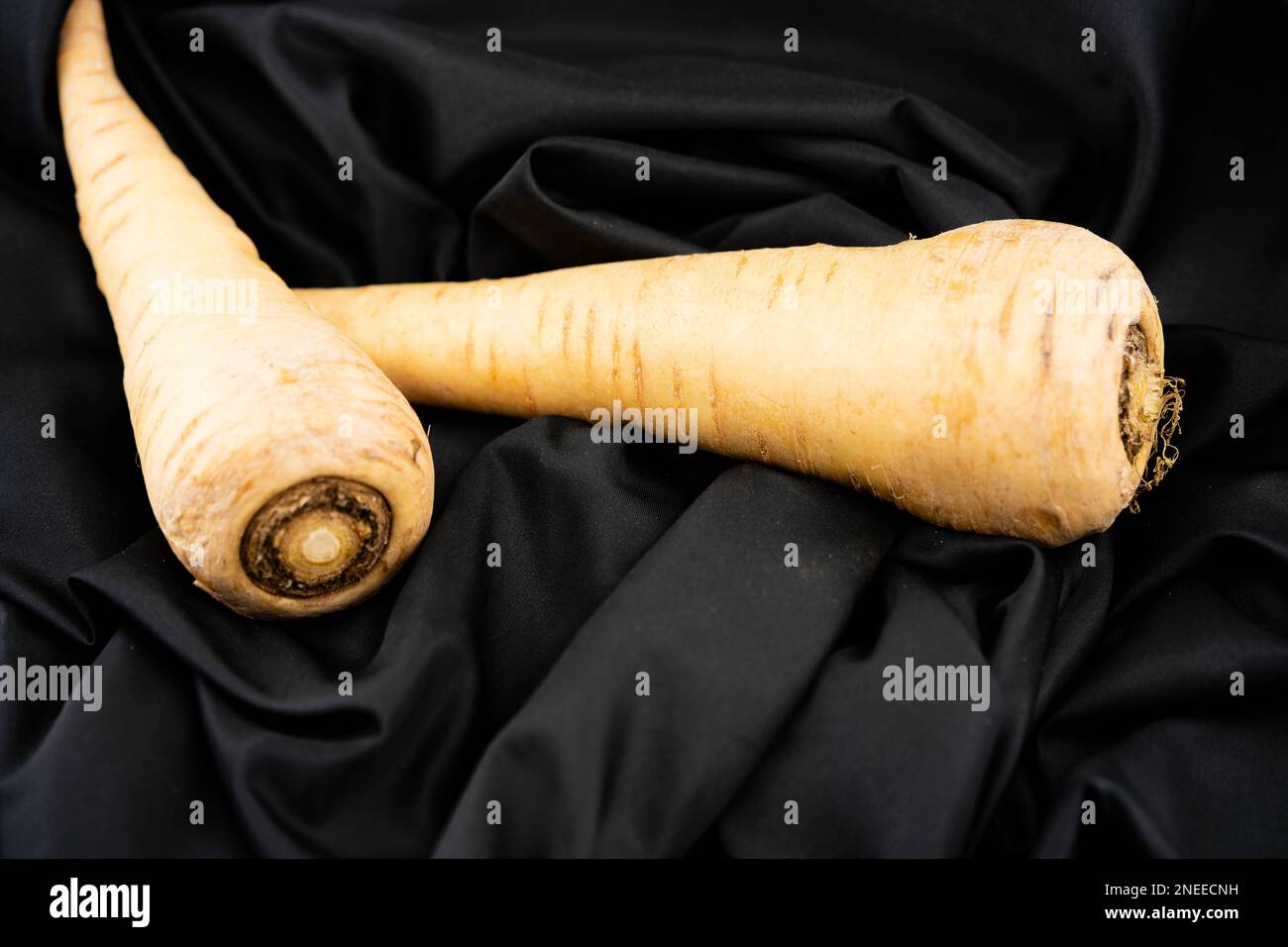 Pastinaca vulgaris hi-res stock photography and images - Alamy