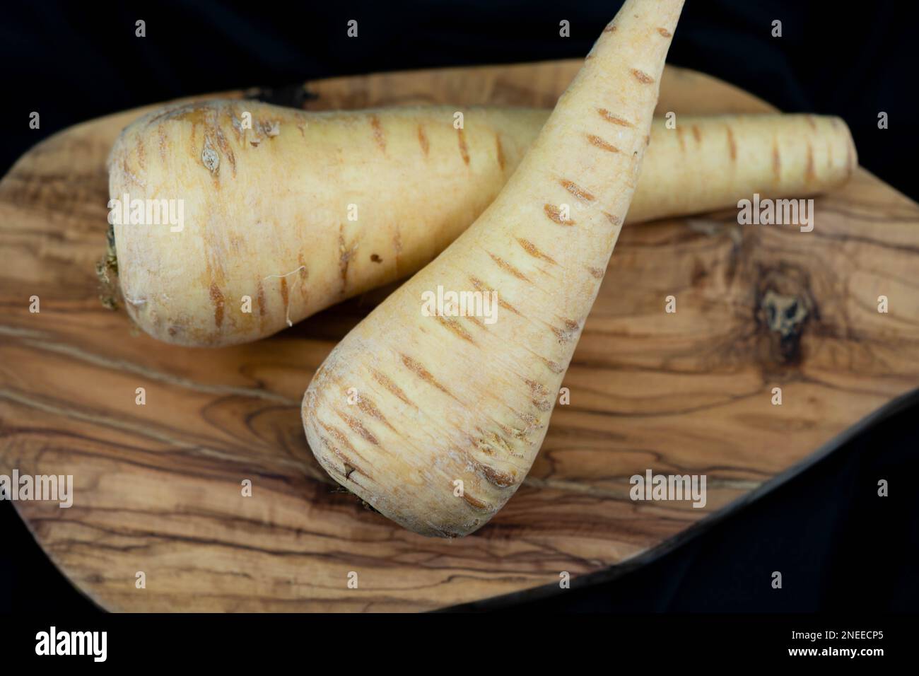 Pastinaca vulgaris hi-res stock photography and images - Alamy