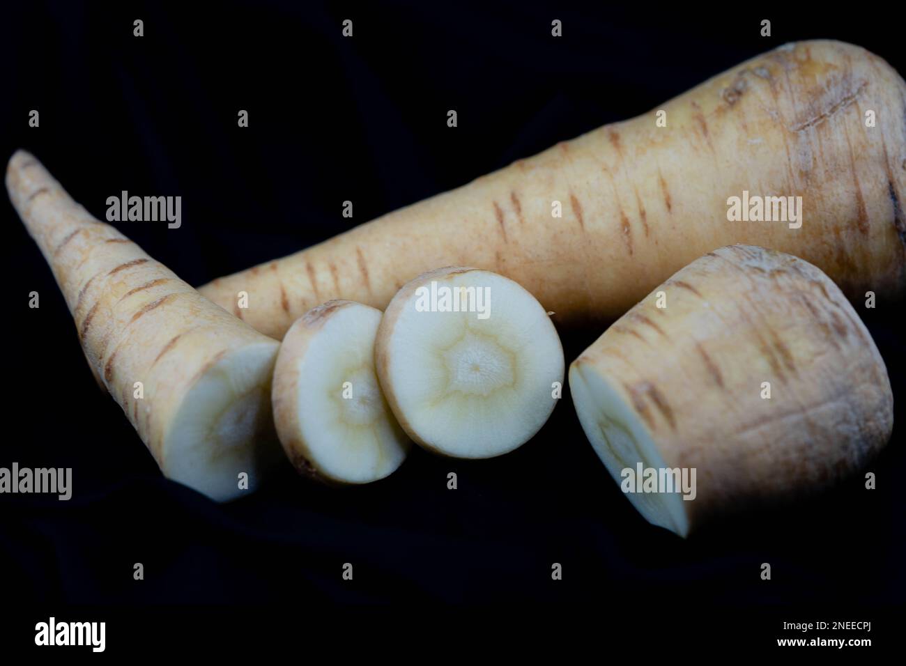 Pastinaca vulgaris hi-res stock photography and images - Alamy