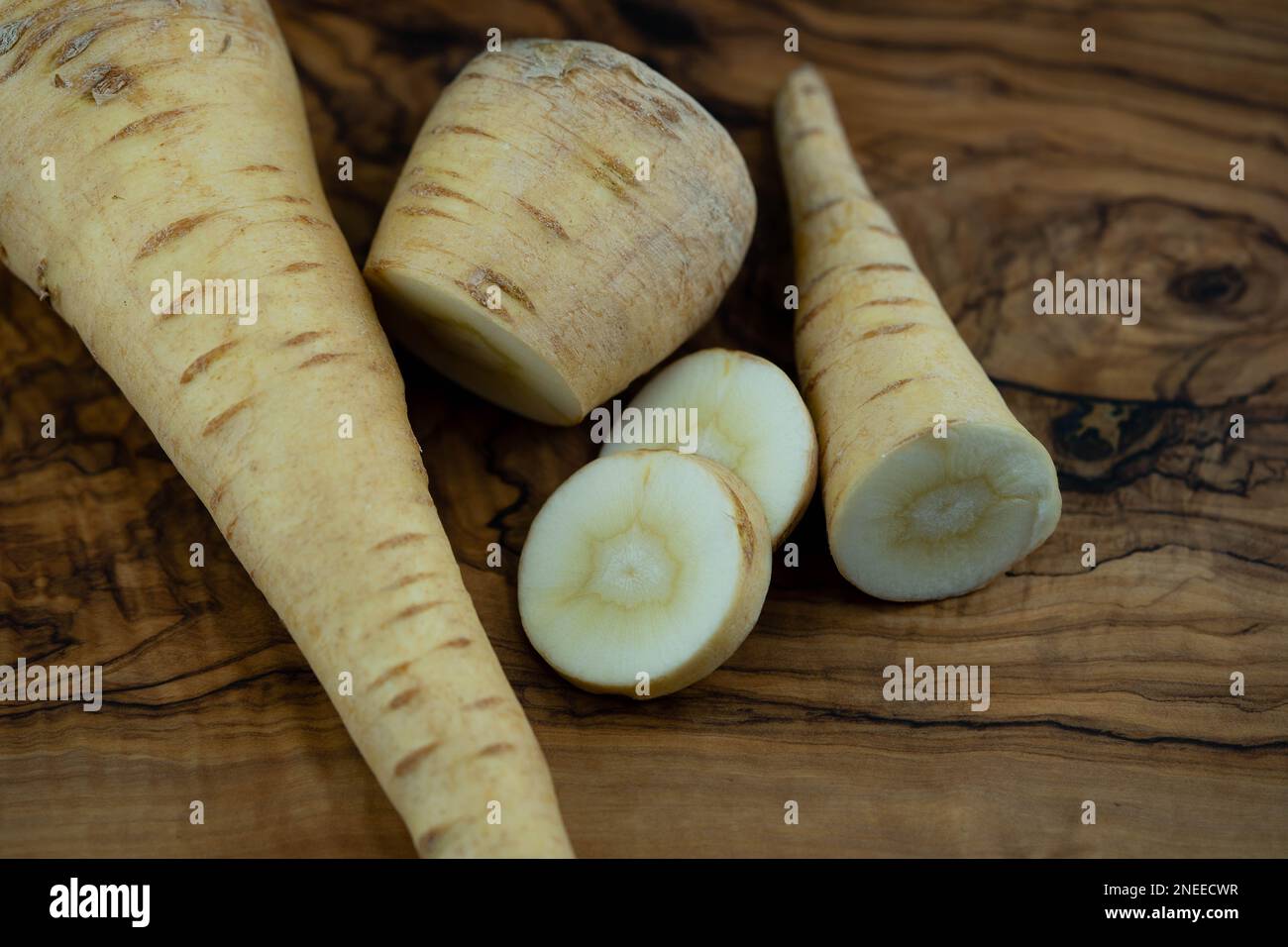 Pastinaca vulgaris hi-res stock photography and images - Alamy